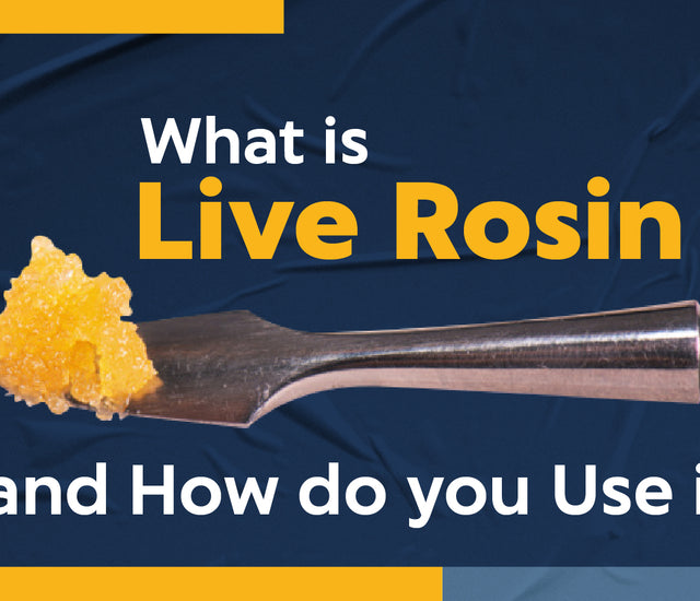 What is Live Rosin and How Do You Use it? – Myster